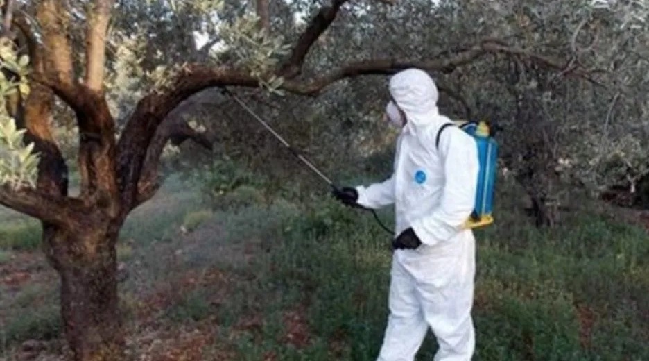 Το νεο πρόγραμμα ψεκασμού των ελαιόδεντρων για την καταπολέμηση του ...